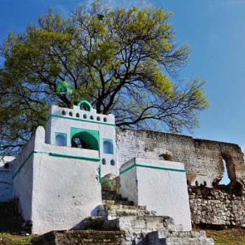 Mughal garden: Himayat bagh, the imperial garden of Aurangabad